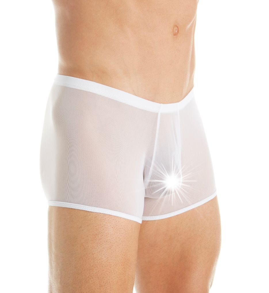 Male Power Pak 808 Sheer Stretch Mesh Pouch Trunk Ebay