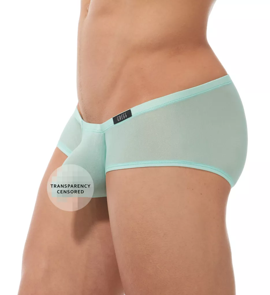 Torridz Hyperstretch Low Rise Trunk MINT S by Gregg Homme