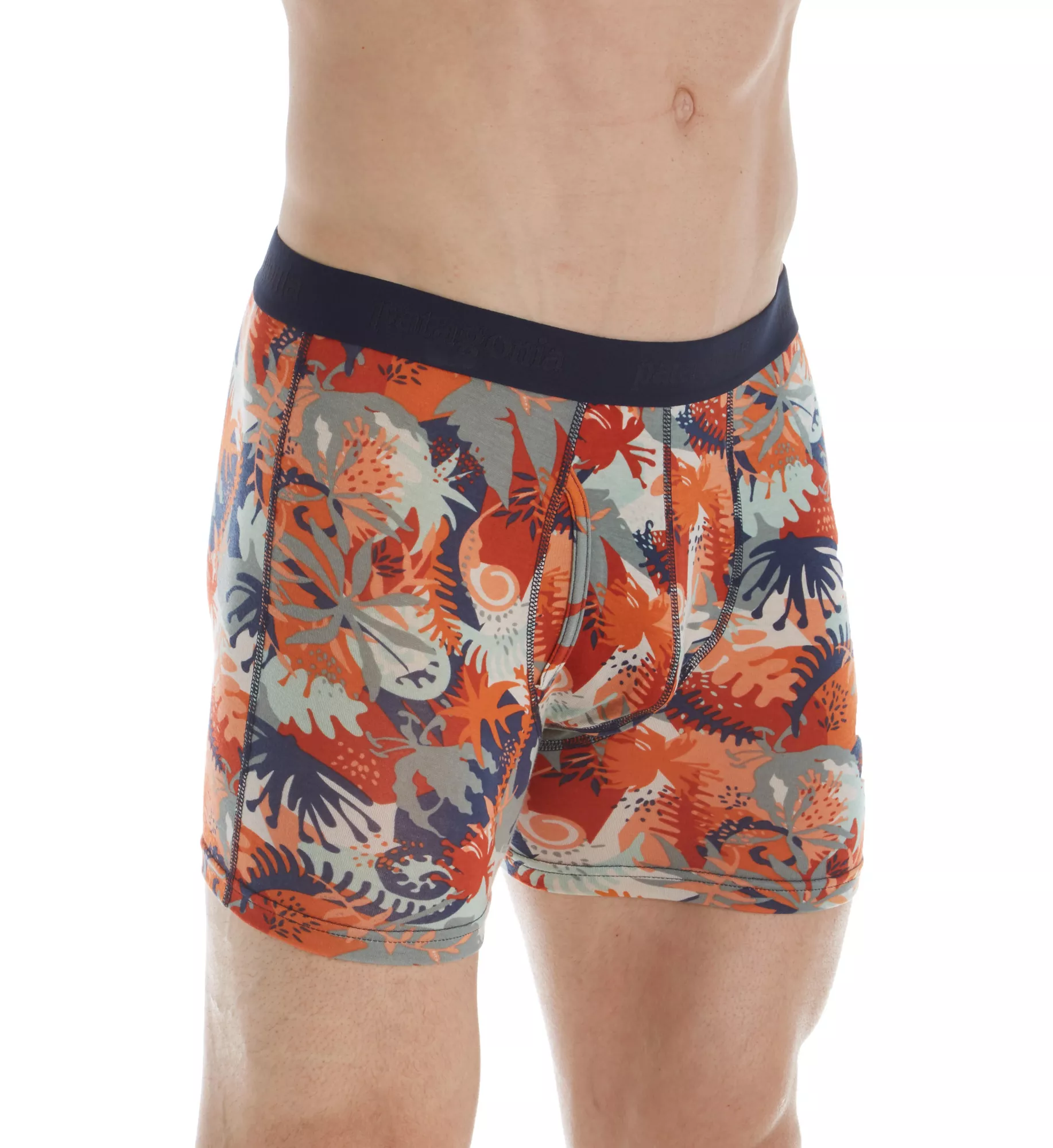 Essential 3 Inch Boxer Brief WildWC L by Patagonia