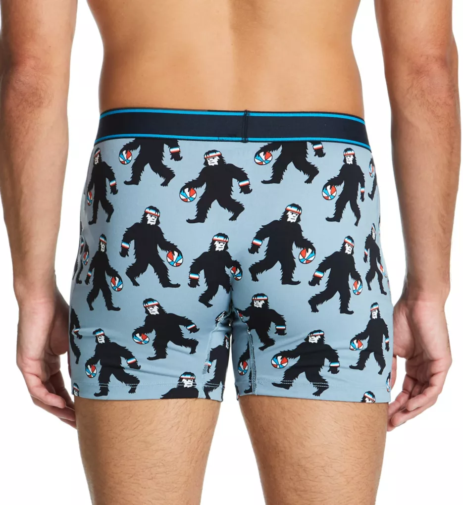 Daytripper Boxer Brief with Fly - 2 Pack