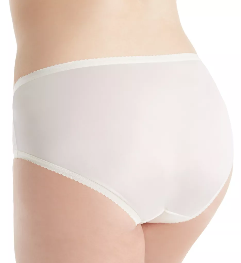 Plus Size Nylon Hi Leg Brief Panty